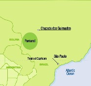 Birding Brazil - Pantanal & Atlantic Forest - Seriema Nature Tours